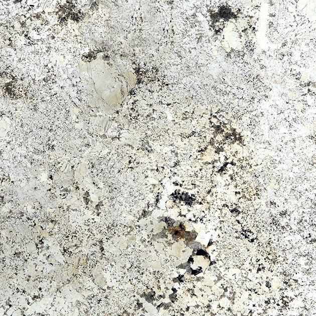 Delicatus - Granite Asap