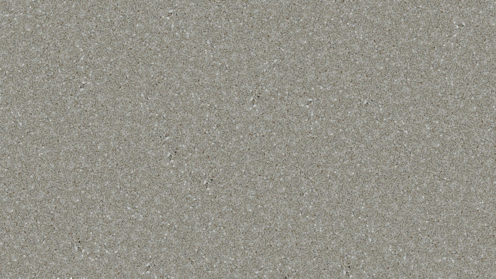 Forest Snow - Granite Asap